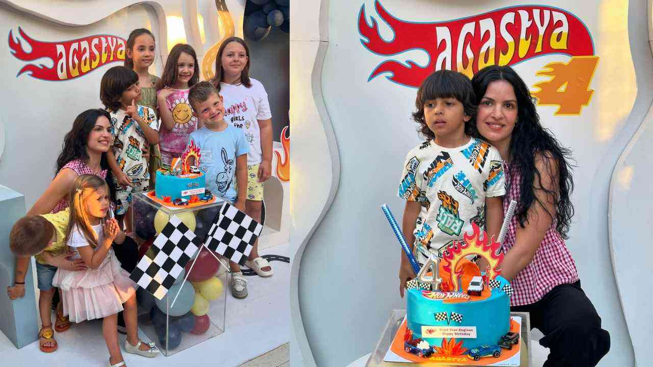 No Hardik Pandya, No Problem: Natasha Stankovic’s Epic Birthday Party ...