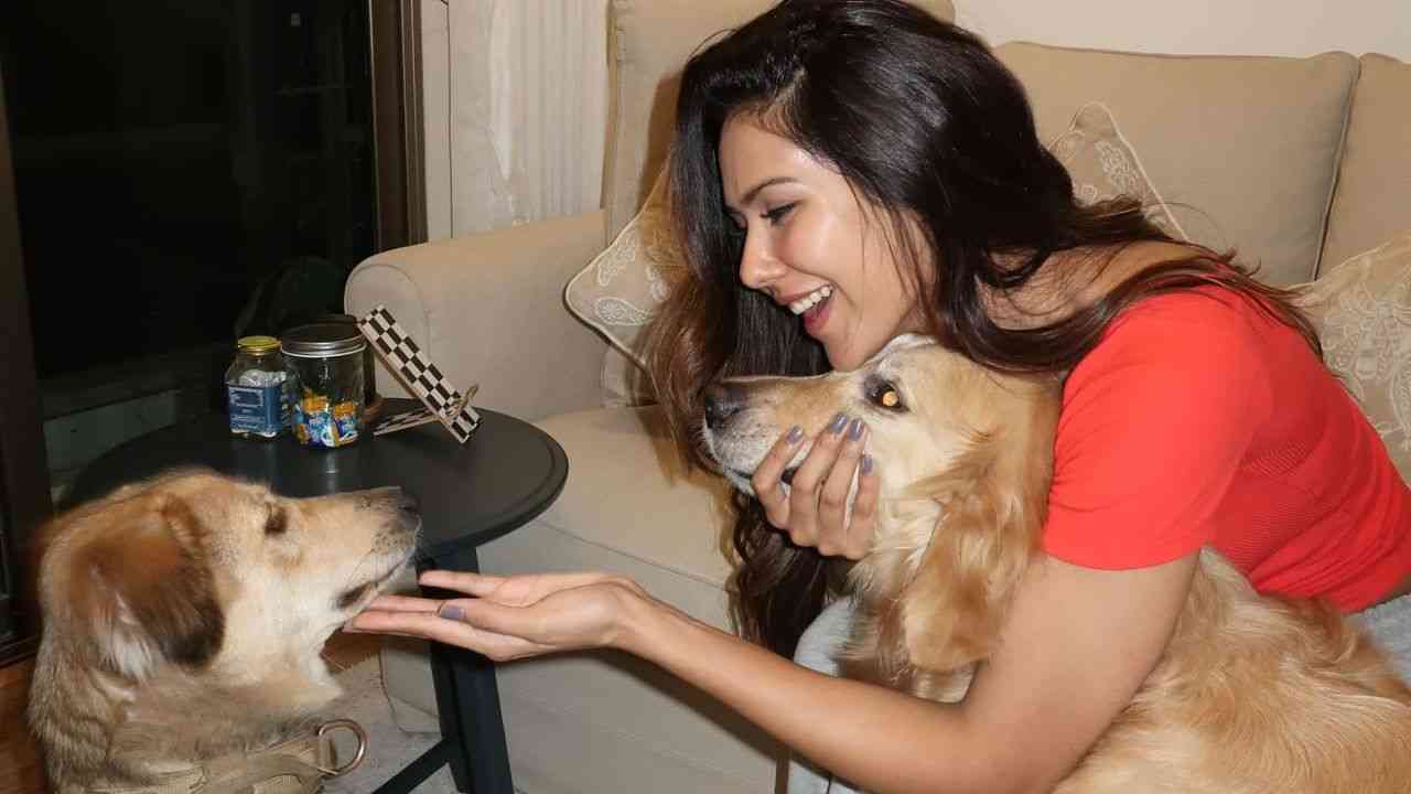 Sonam Bajwa questions CM Bhagwant Mann over Punjab’s stray dog action ...